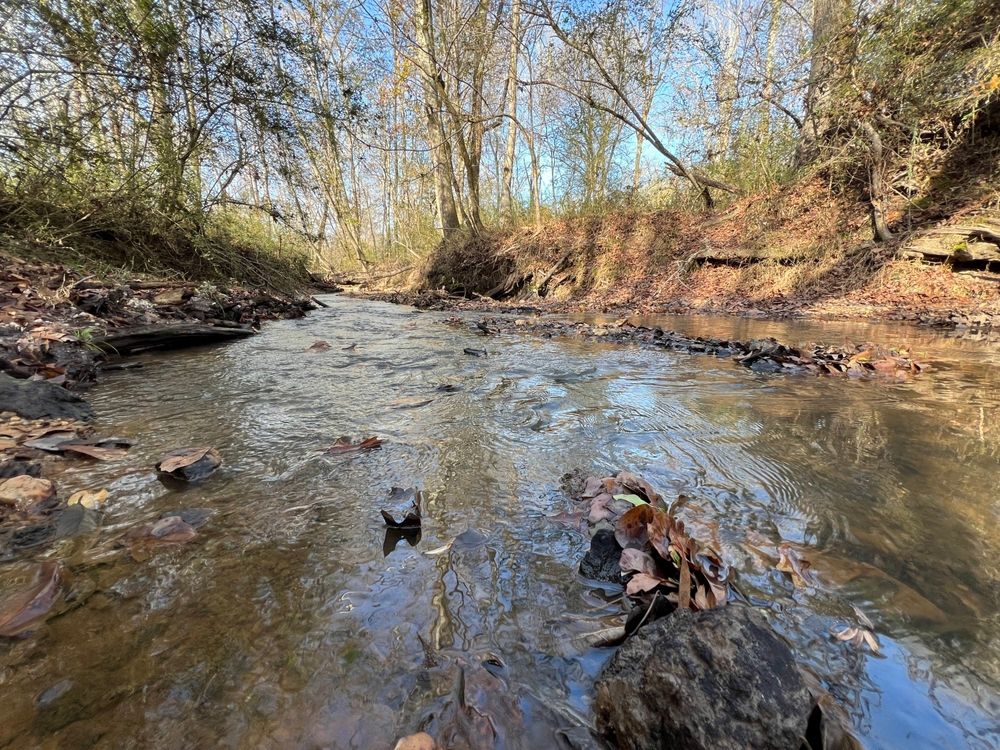 Camp Hill, Tallapoosa County, AL Timberland Property for sale Property ...