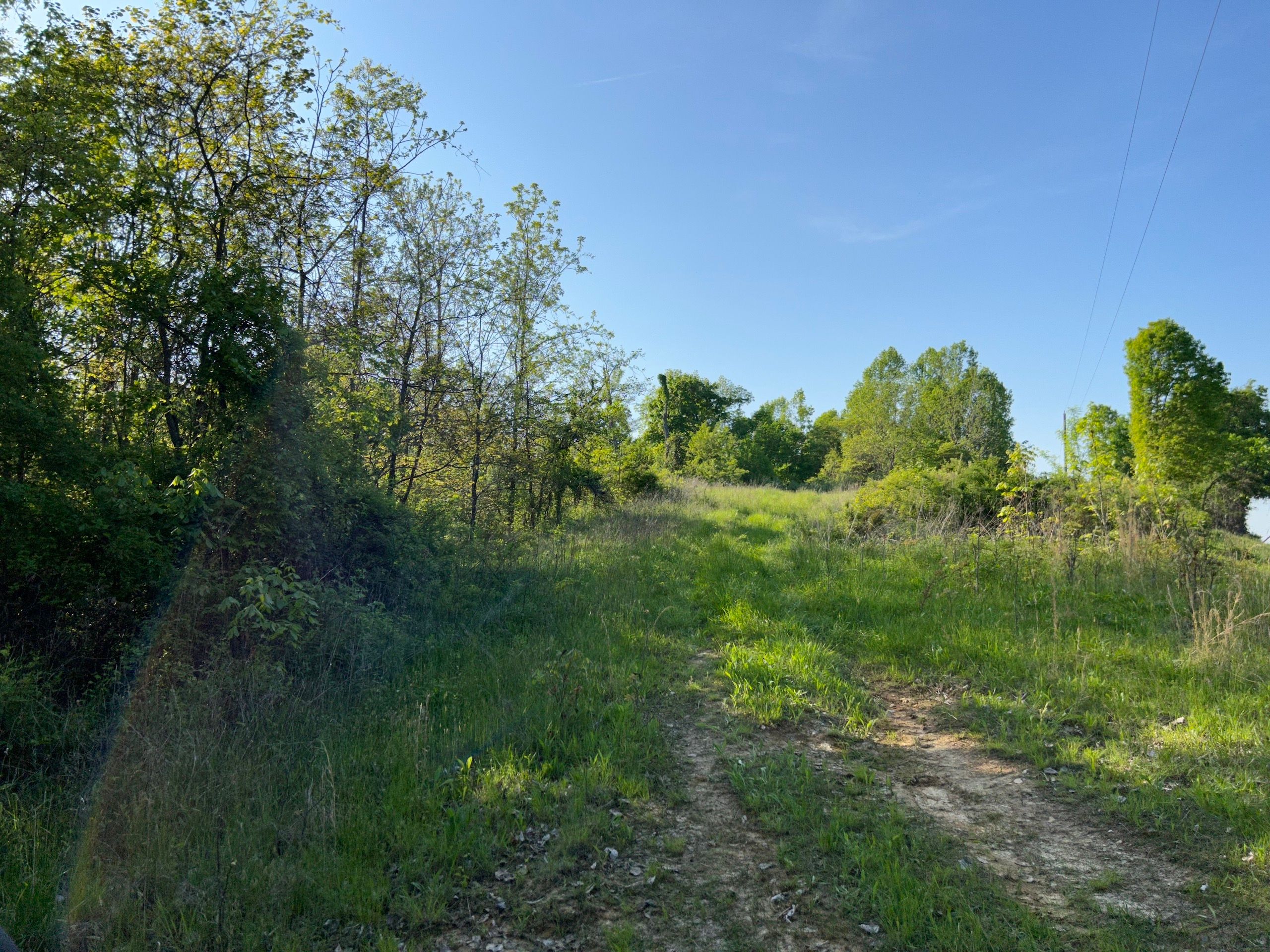 State Route 555, Lot WP#001, Chesterhill, OH 43728 | LandWatch