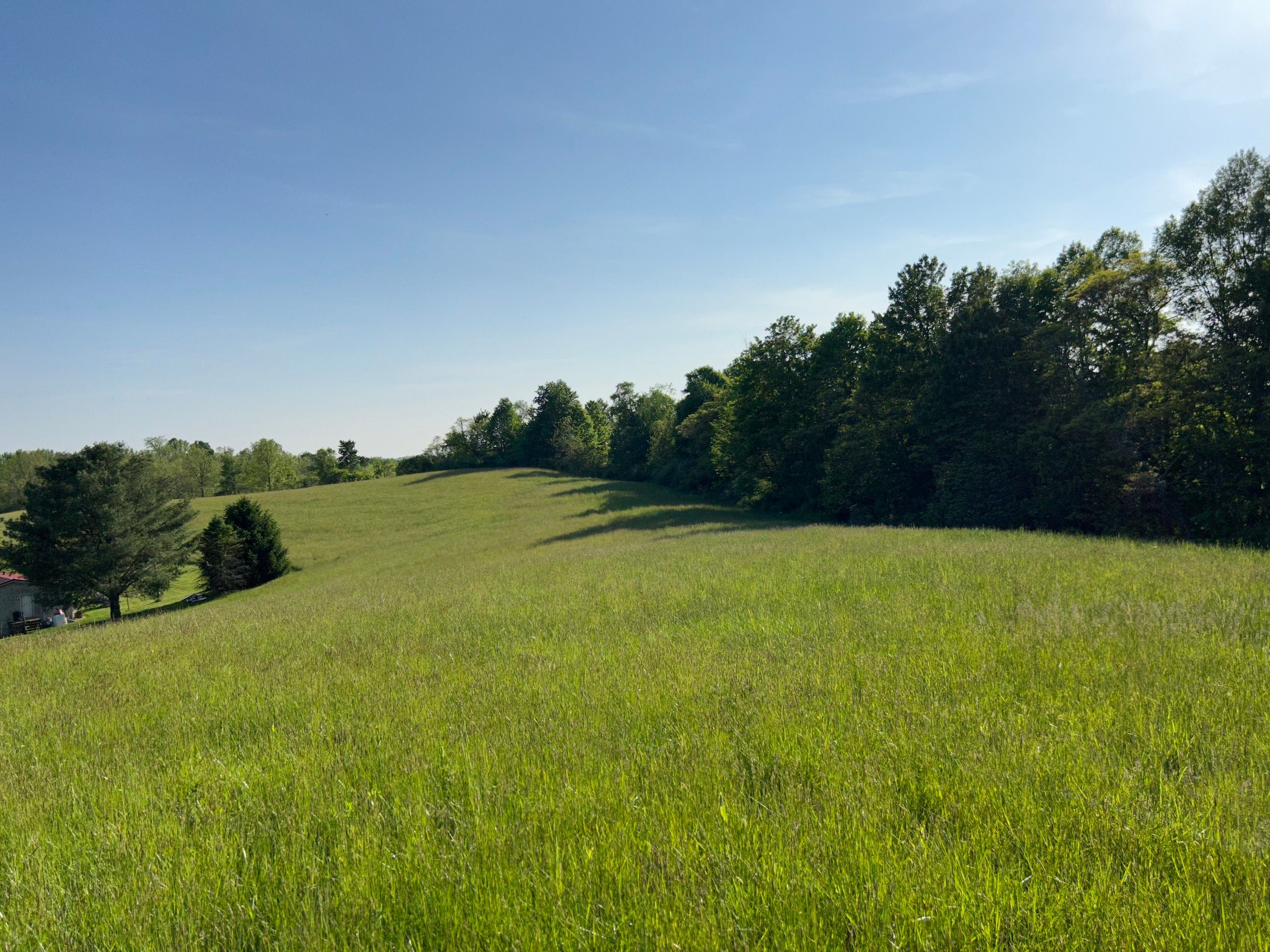 State Route 555, LotWP#002, Chesterhill, OH 43728 | LandWatch