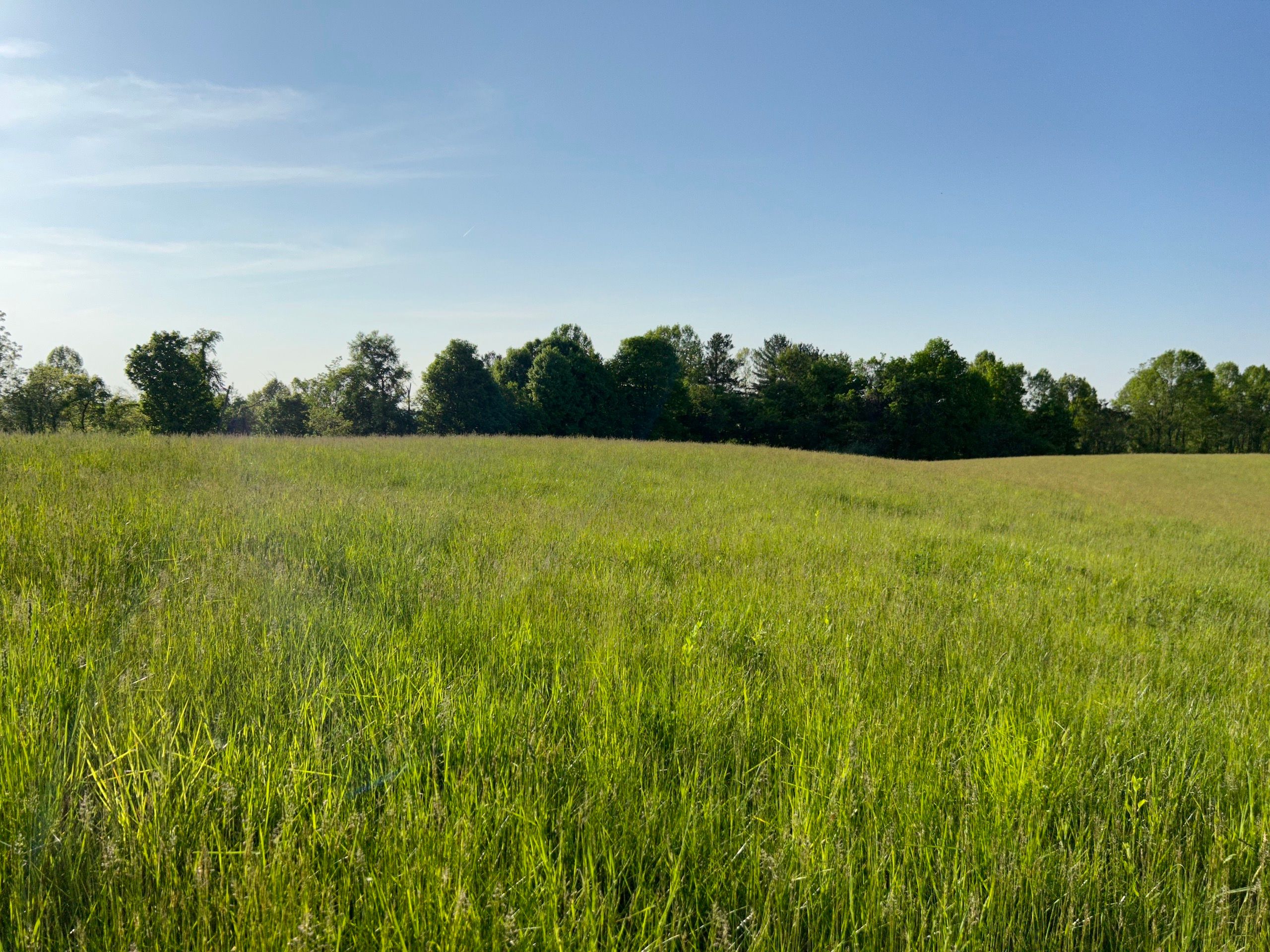 State Route 555, LotWP#003, Chesterhill, OH 43728 | LandWatch