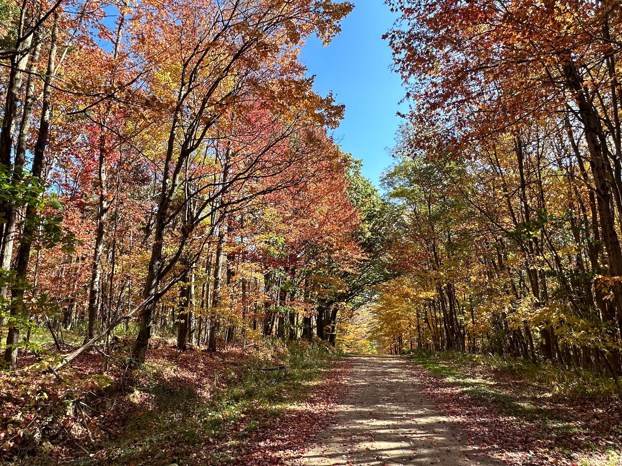 VL Lot V (5) Johnson Hill Rd, Swain, NY 14884 | MLS: 11237624 | LandWatch