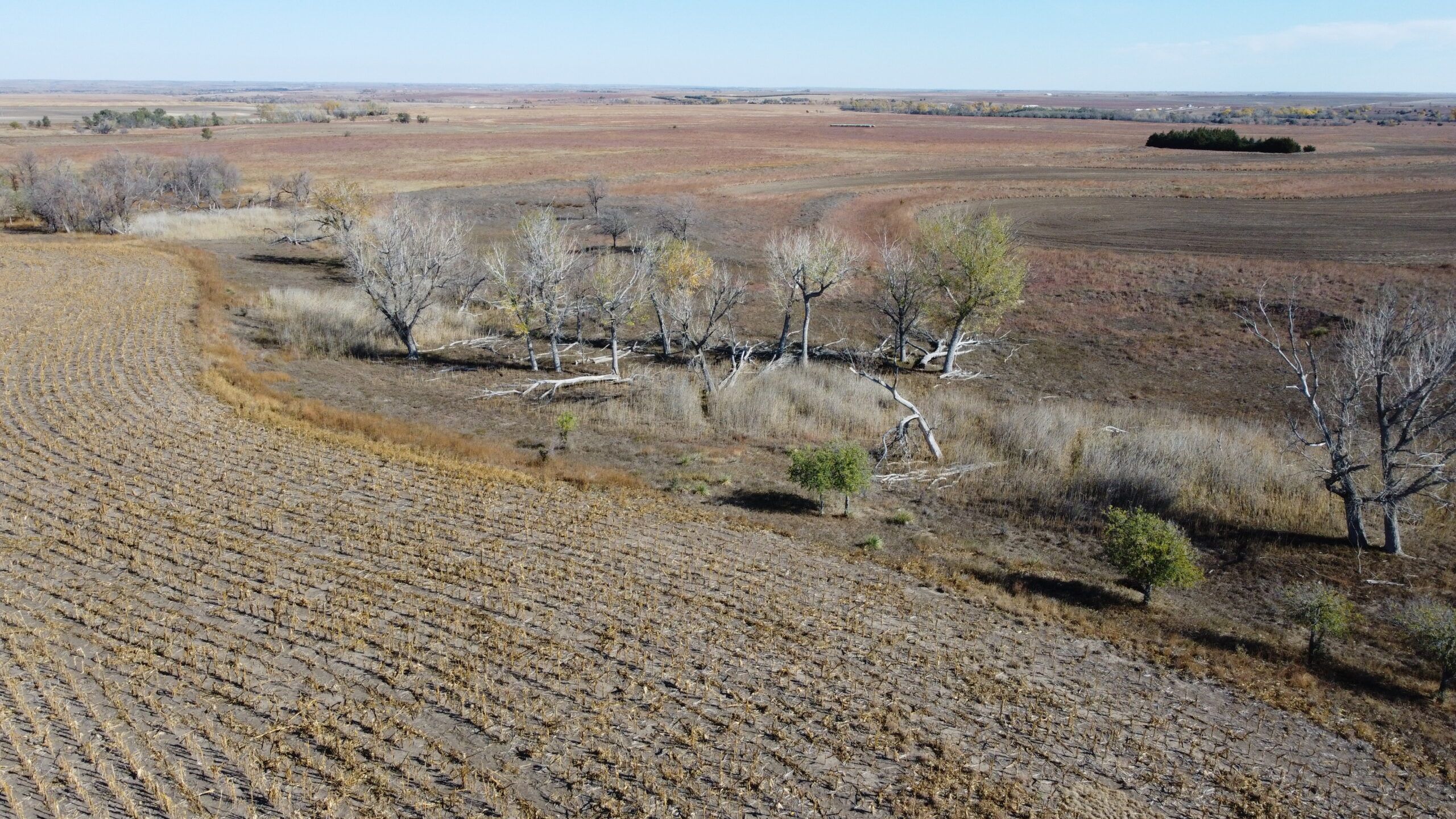 TBD S Road, Damar, KS 67632 | LandWatch