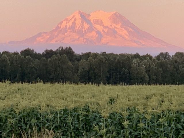 State Route 507, Yelm, WA 98597 | LandWatch