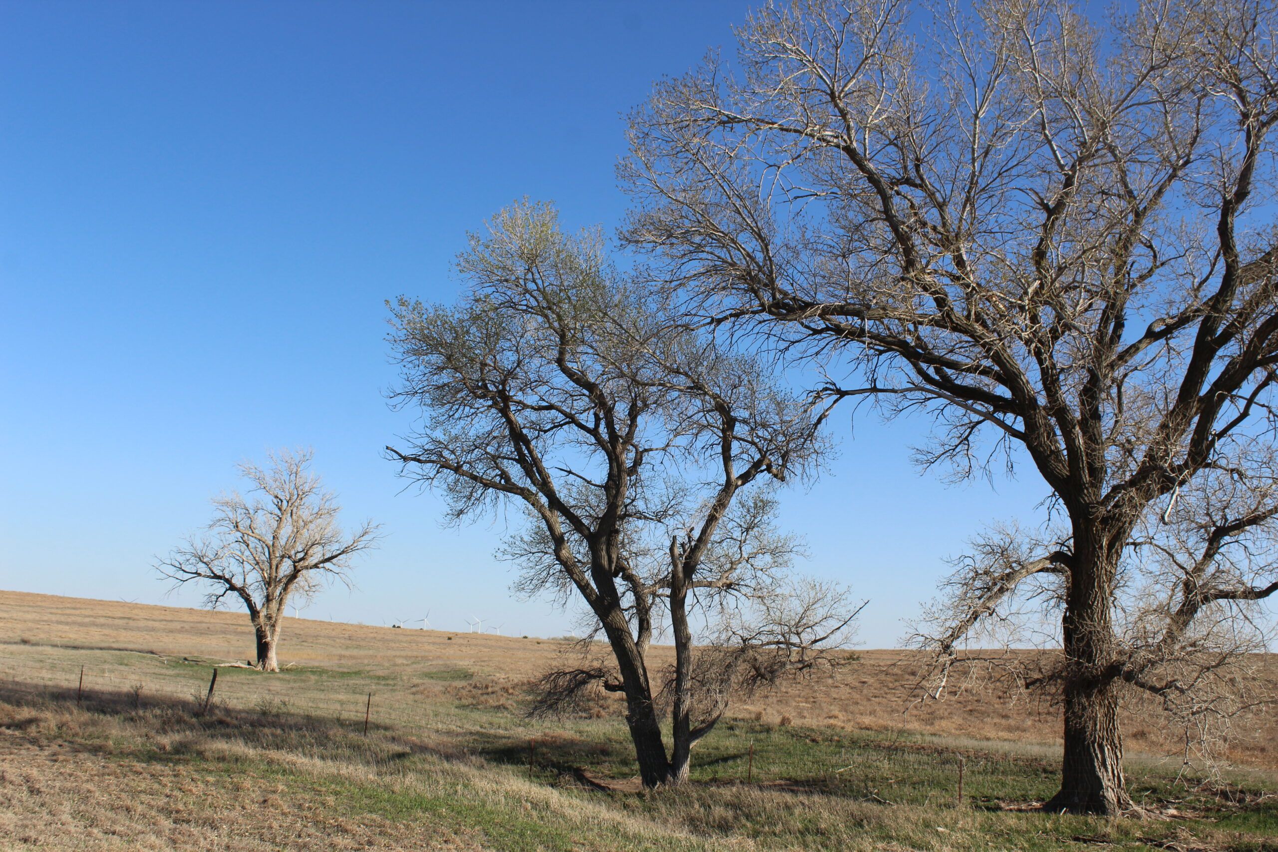 000, Pratt, KS 67214 | LandWatch