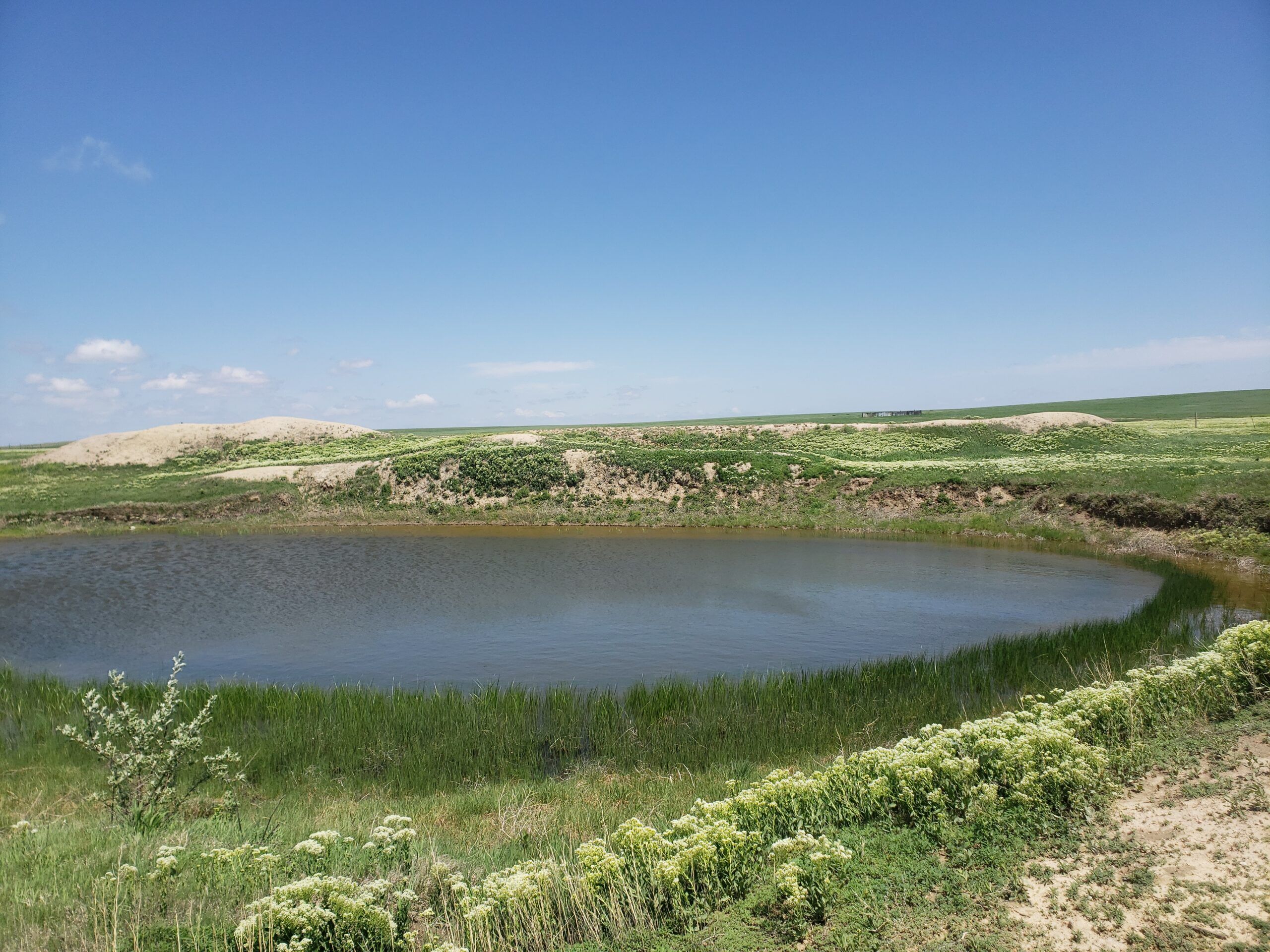 TBD Hwy 36, Akron, CO 80720 | LandWatch