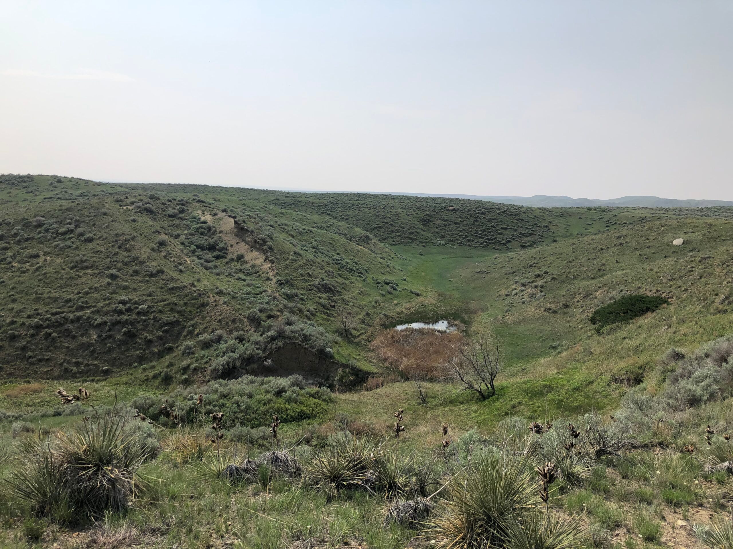 TBD, Malta, MT 59538 | LandWatch