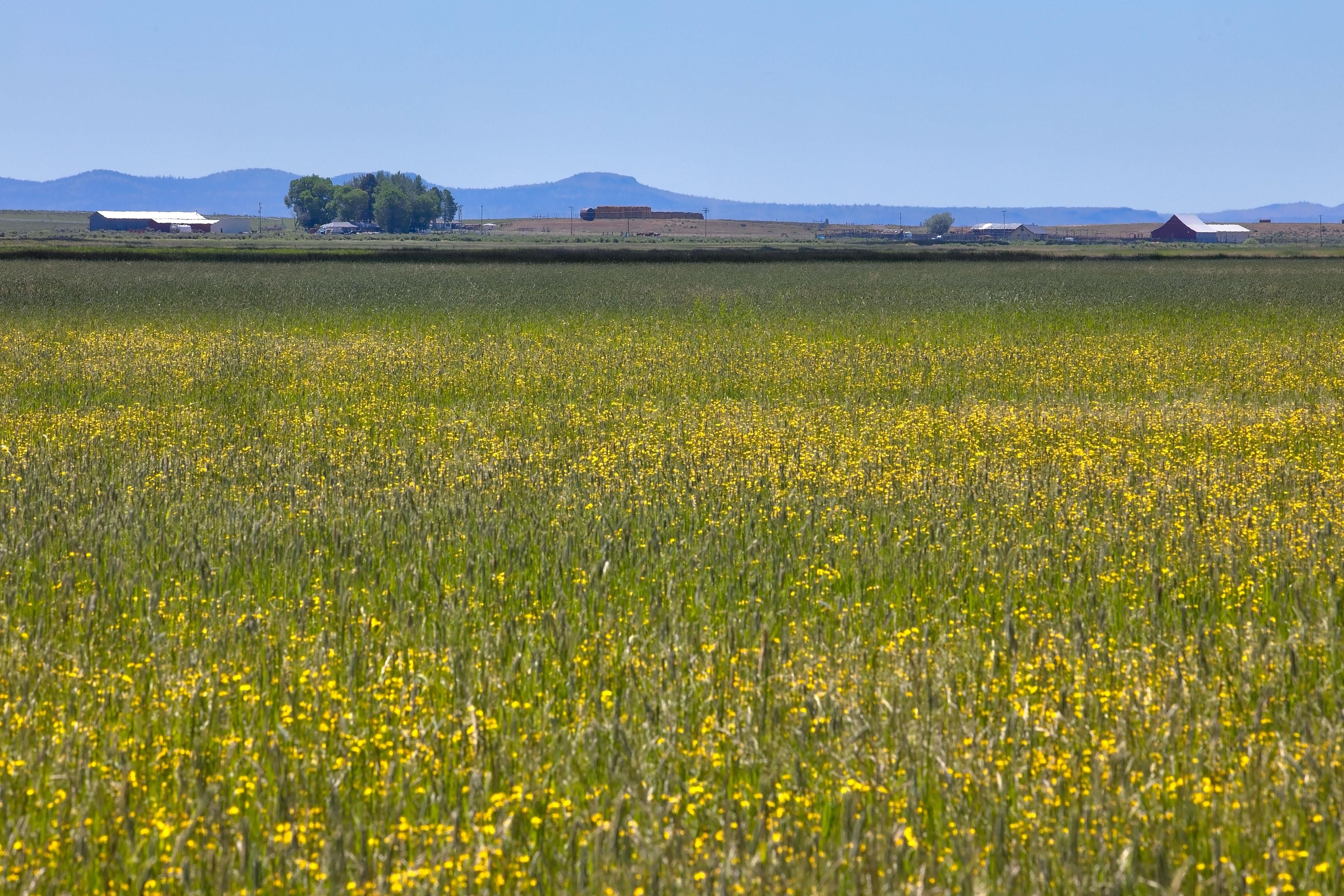 55552 S GI Road, Prineville, OR 97754 | MLS: 220112156 | LandWatch