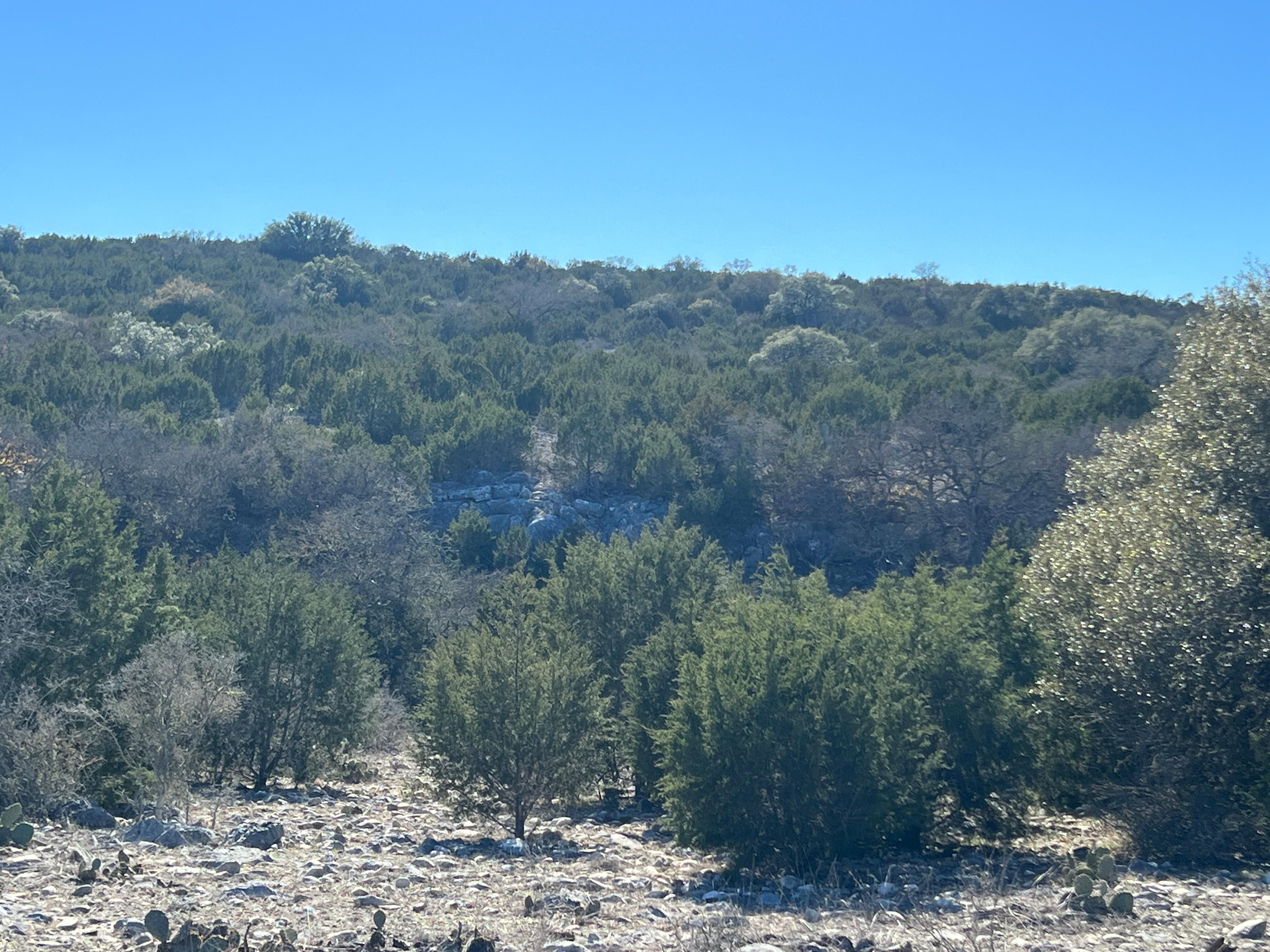 50 acres in Rocksprings, TX, 78880 | LandWatch