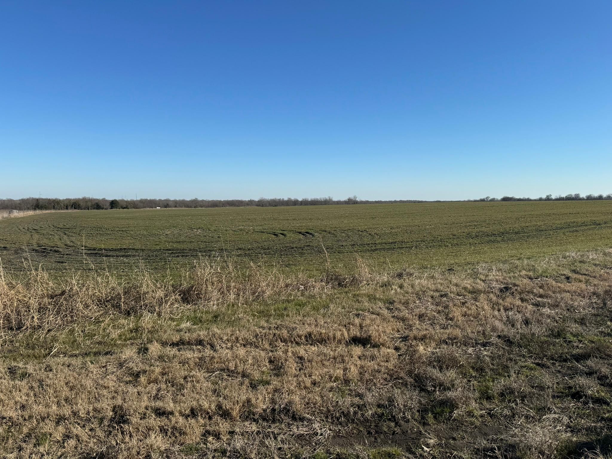 15.67 acres in Enloe, TX, 75441 | LandWatch