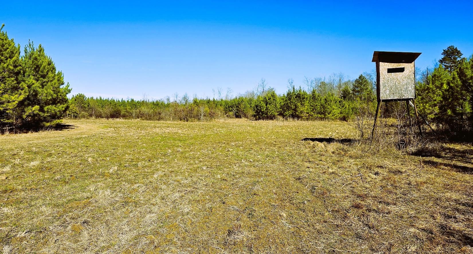 1,110 acres in Heidelberg, MS, 39439 | LandWatch