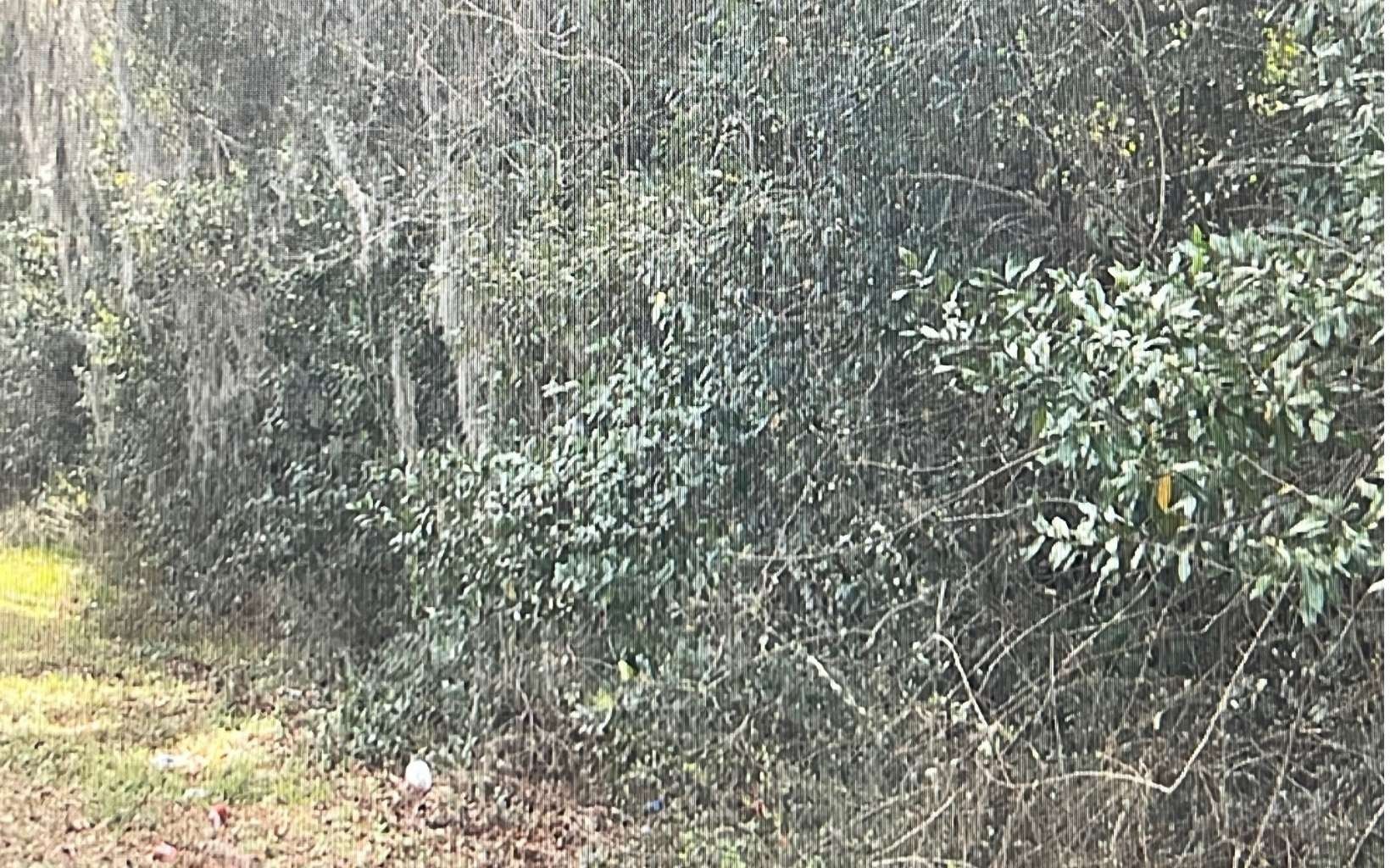 Colquitt, Miller County, GA for sale Property ID: 418752075 | LandWatch