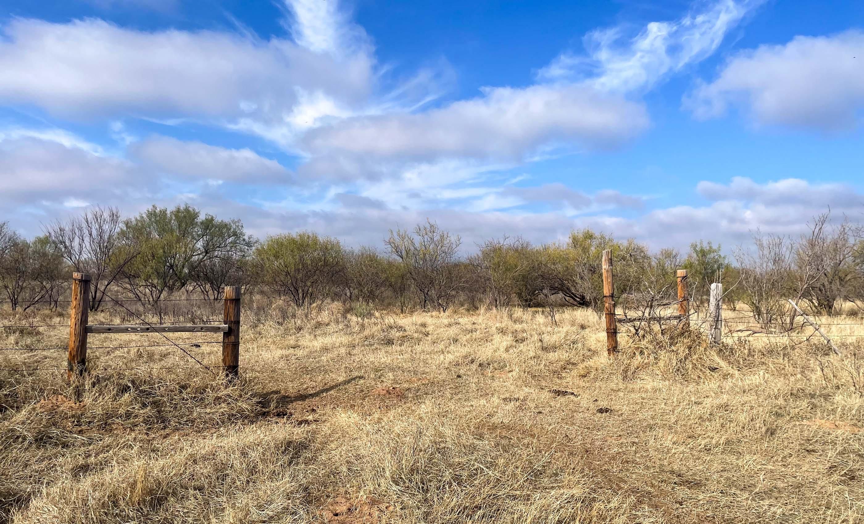 513 acres in McCaulley, TX, 79534 | LandWatch