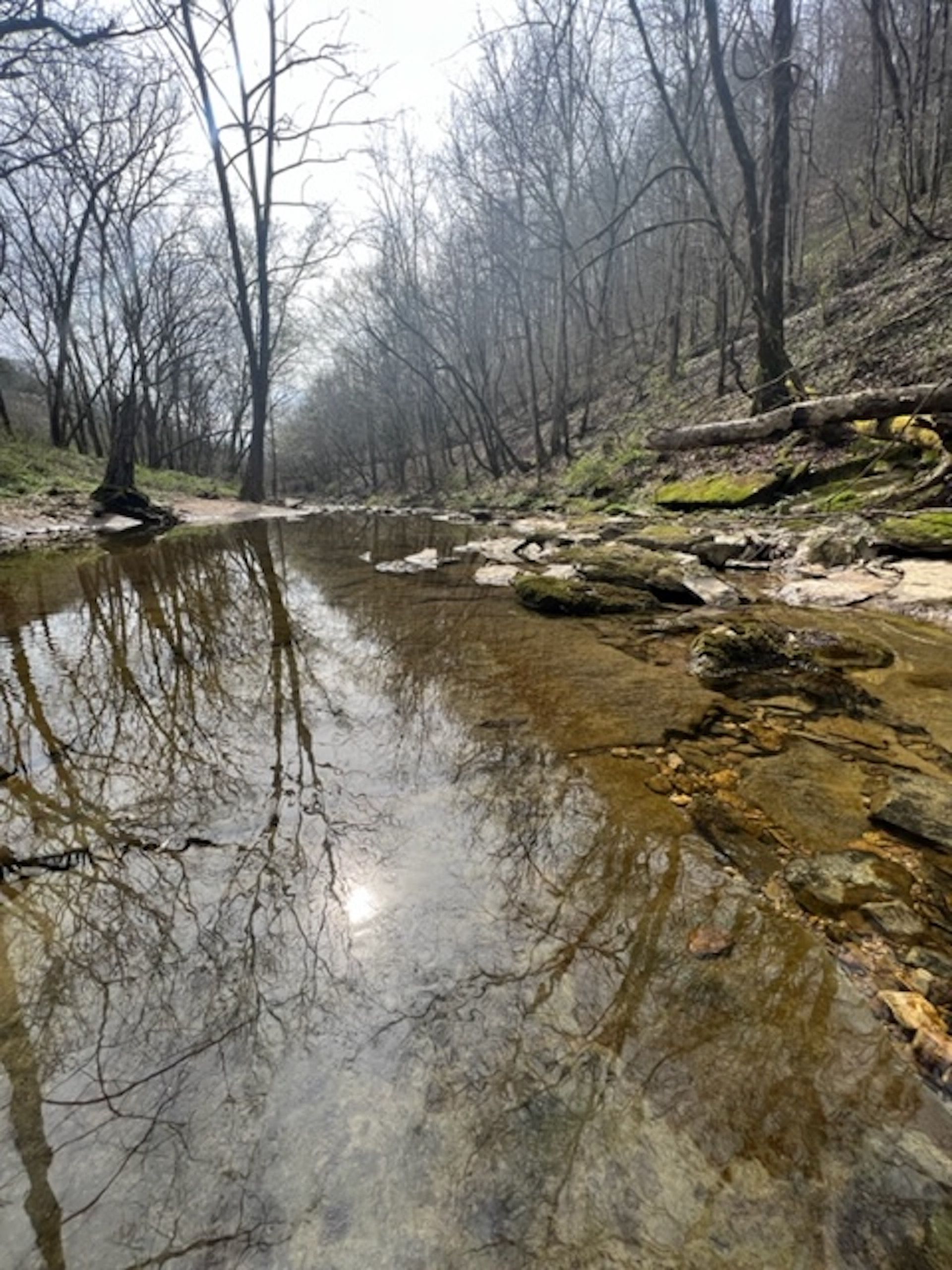 Brimstone Creek Rd, Lot#WP001, Moss, TN 38575 | LandWatch