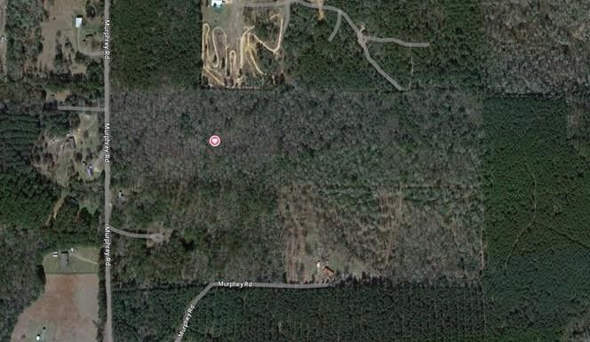 Logansport, De Soto Parish, LA Undeveloped Land for sale Property ID ...