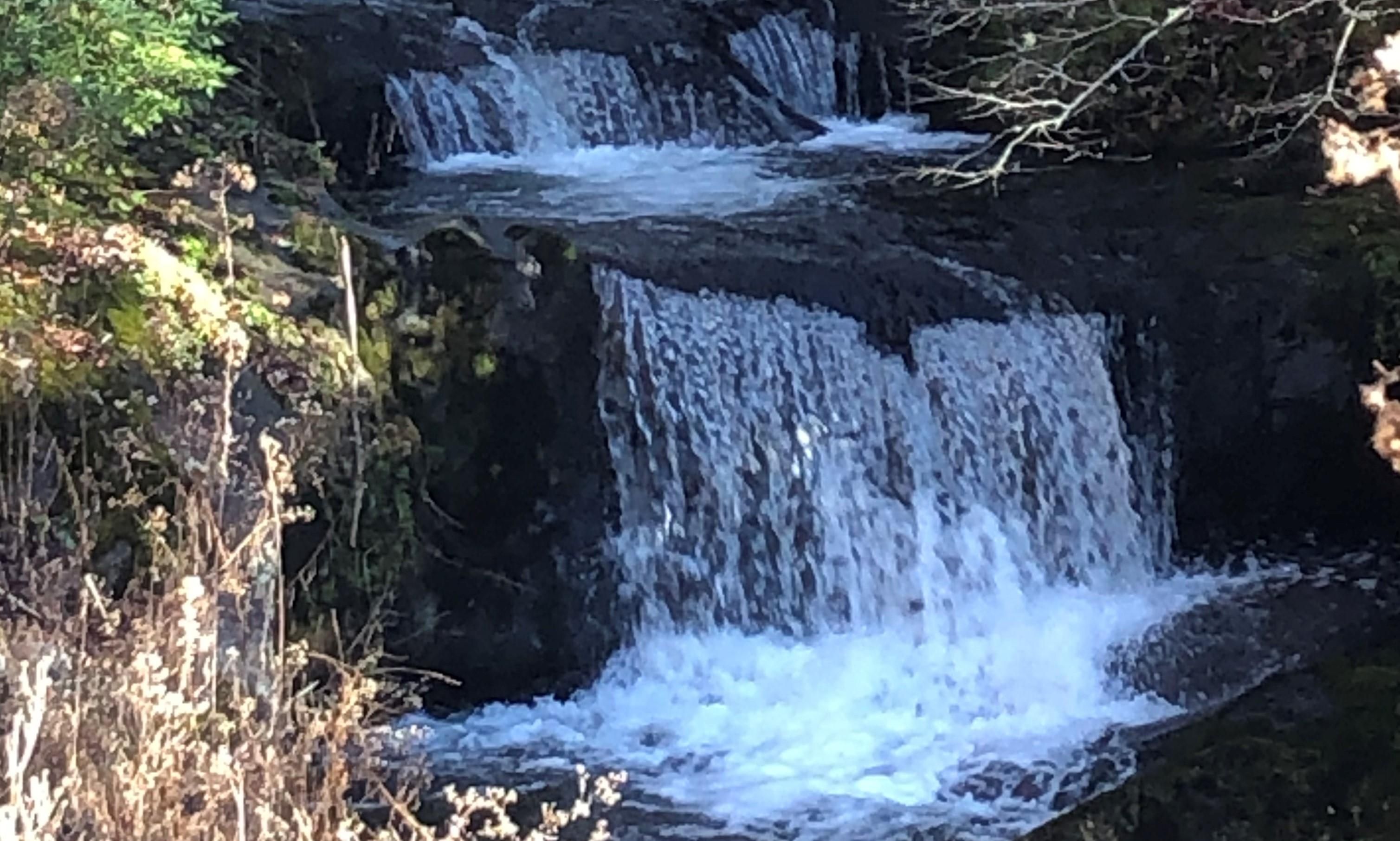 6695 Ellijay Road, Franklin, NC 28734 | MLS: L2603624A, L26036213A ...