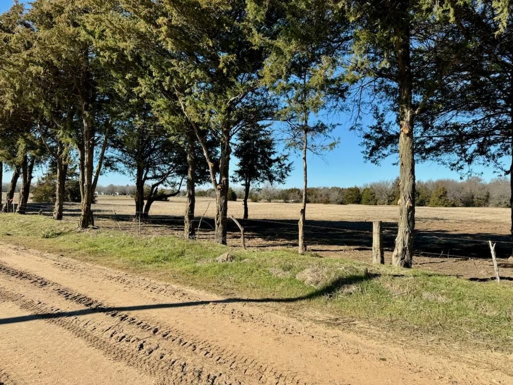 TBD CR 2300, Telephone, TX 75488 | MLS: 20523410 | LandWatch
