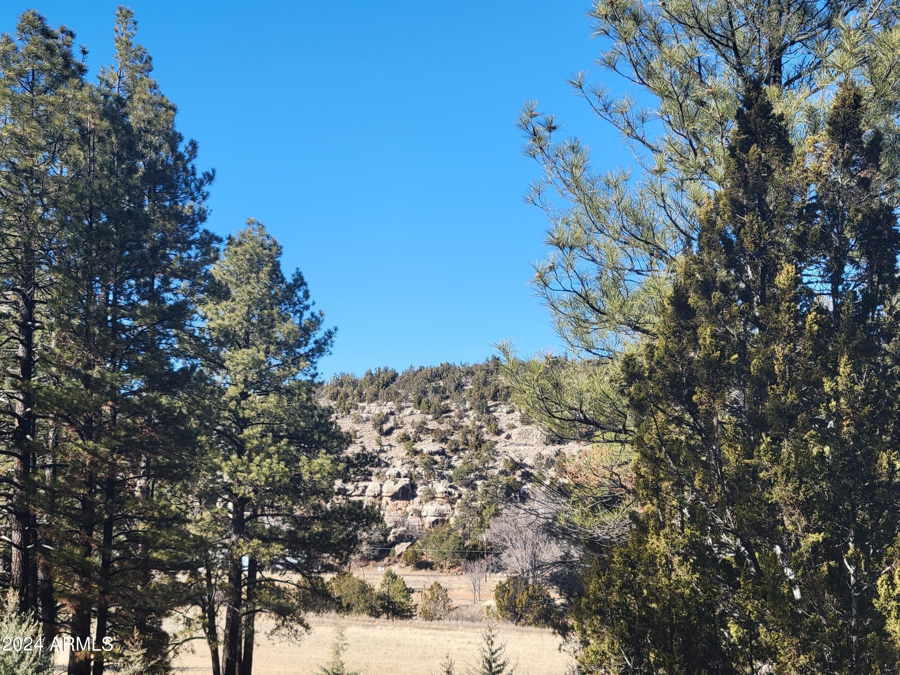 1748 E Memorial Parkway E, Heber, AZ 85928 | MLS: 6657020 | LandWatch