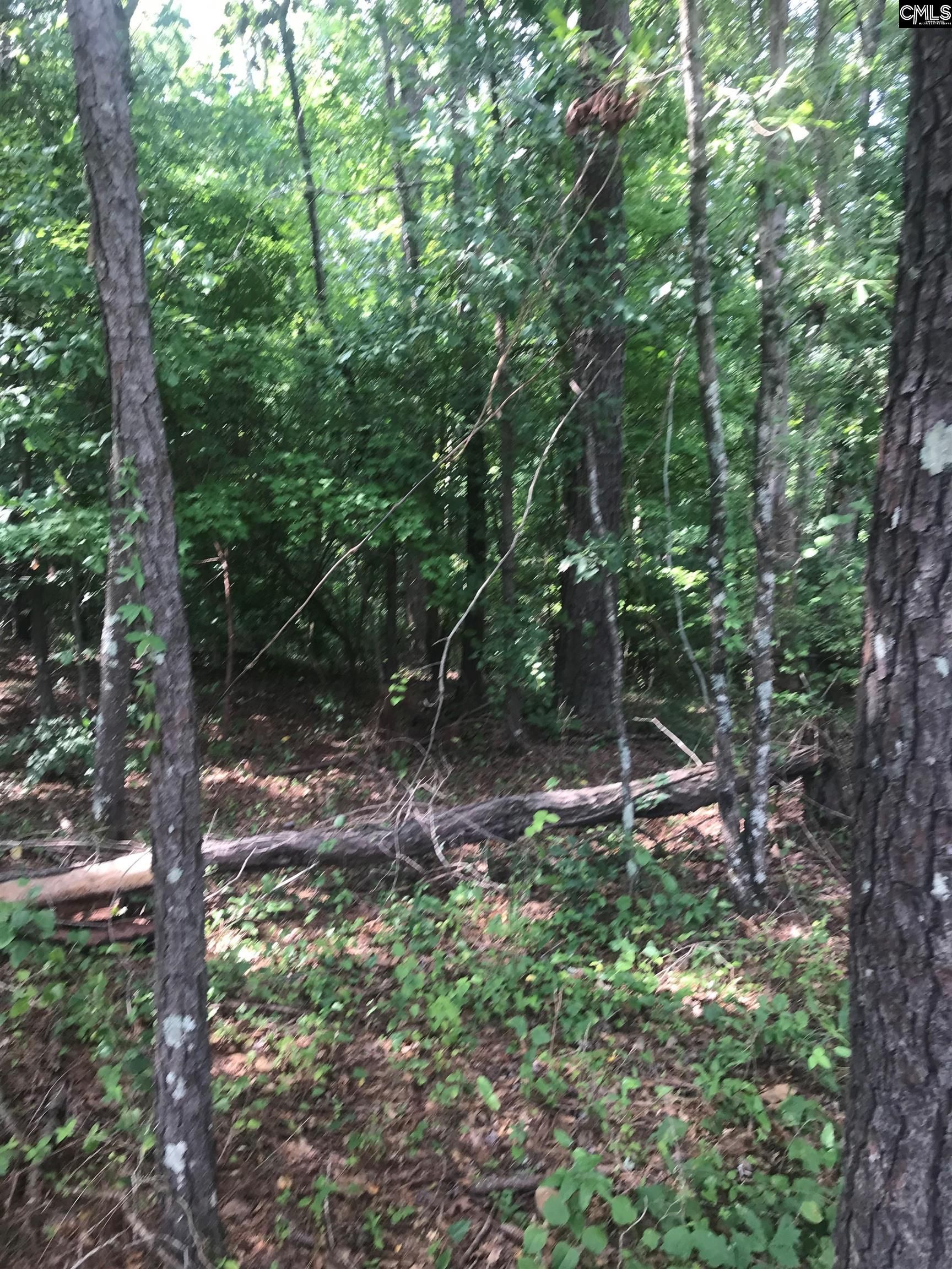 1147 Jackson Lane, Lugoff, SC 29078 | MLS: 545923 | LandWatch