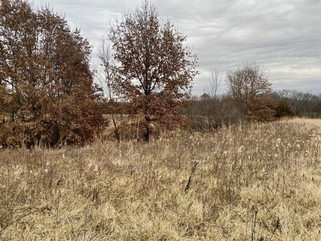 S Sd Spring Creek Rd, Camden, IL 62319 | LandWatch