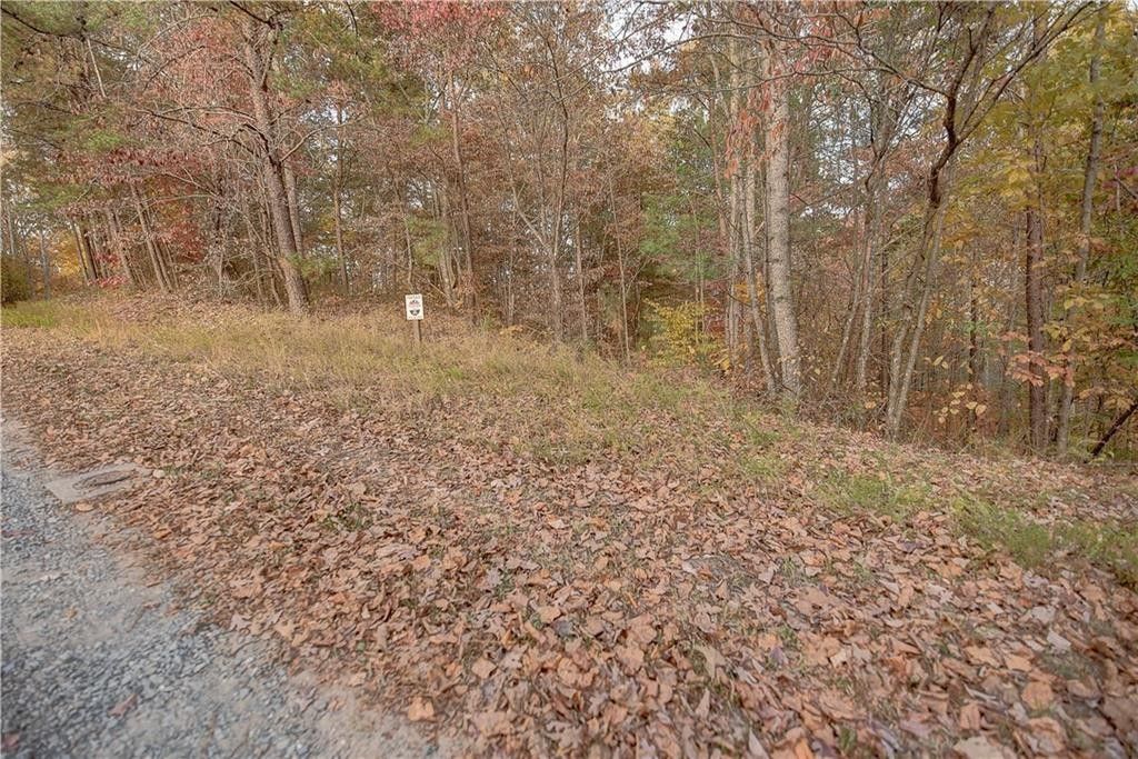 Ranger, Gordon County, GA Homesites for sale Property ID: 415239211 ...