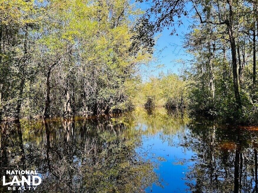 Butler, Taylor County, GA Recreational Property, Timberland Property ...