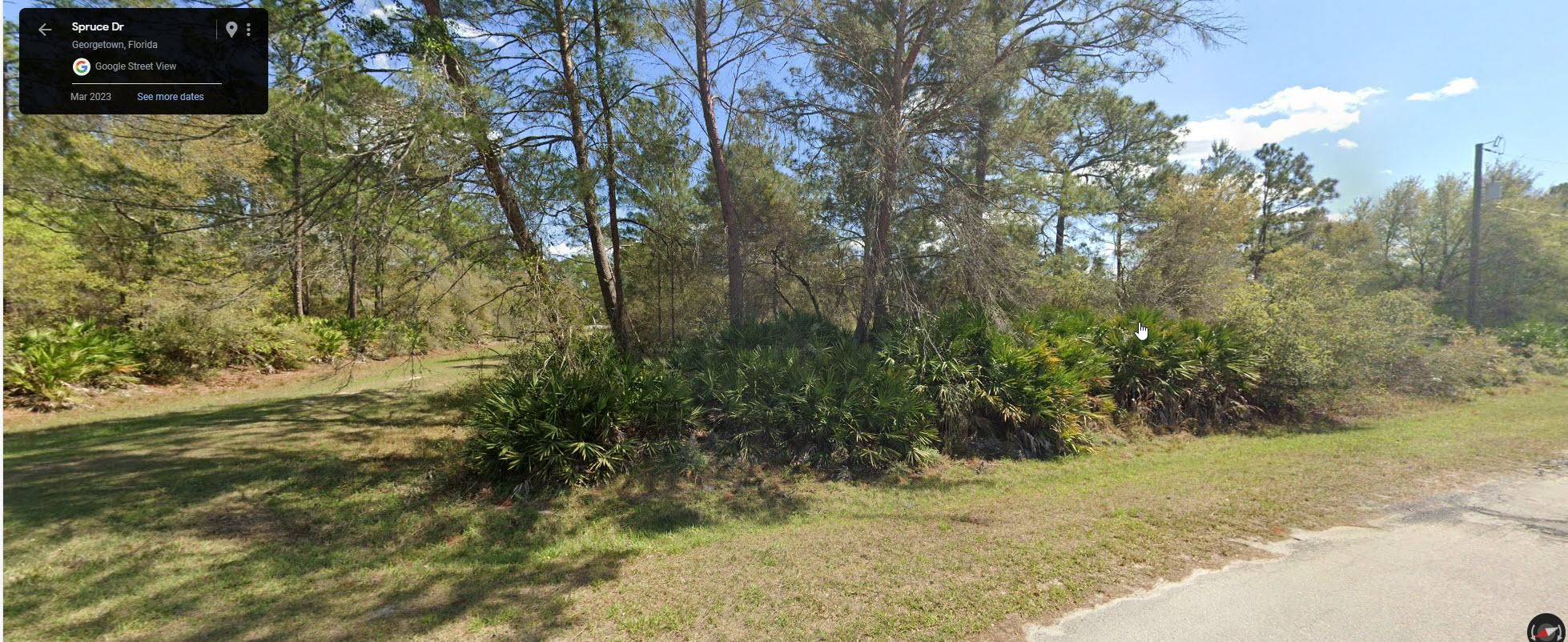 0 Spruce Drive, Georgetown, FL 32139 | LandWatch