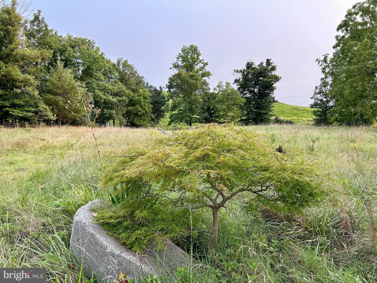 Brandywine, Prince Georges County, MD Undeveloped Land, Homesites for ...