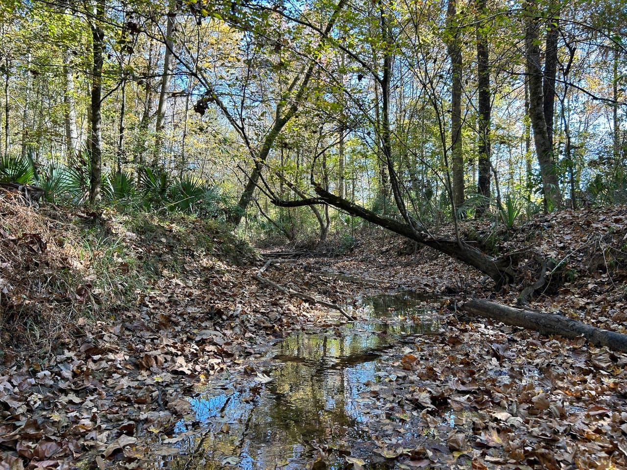 Toomsboro, Wilkinson County, GA Recreational Property, Timberland ...