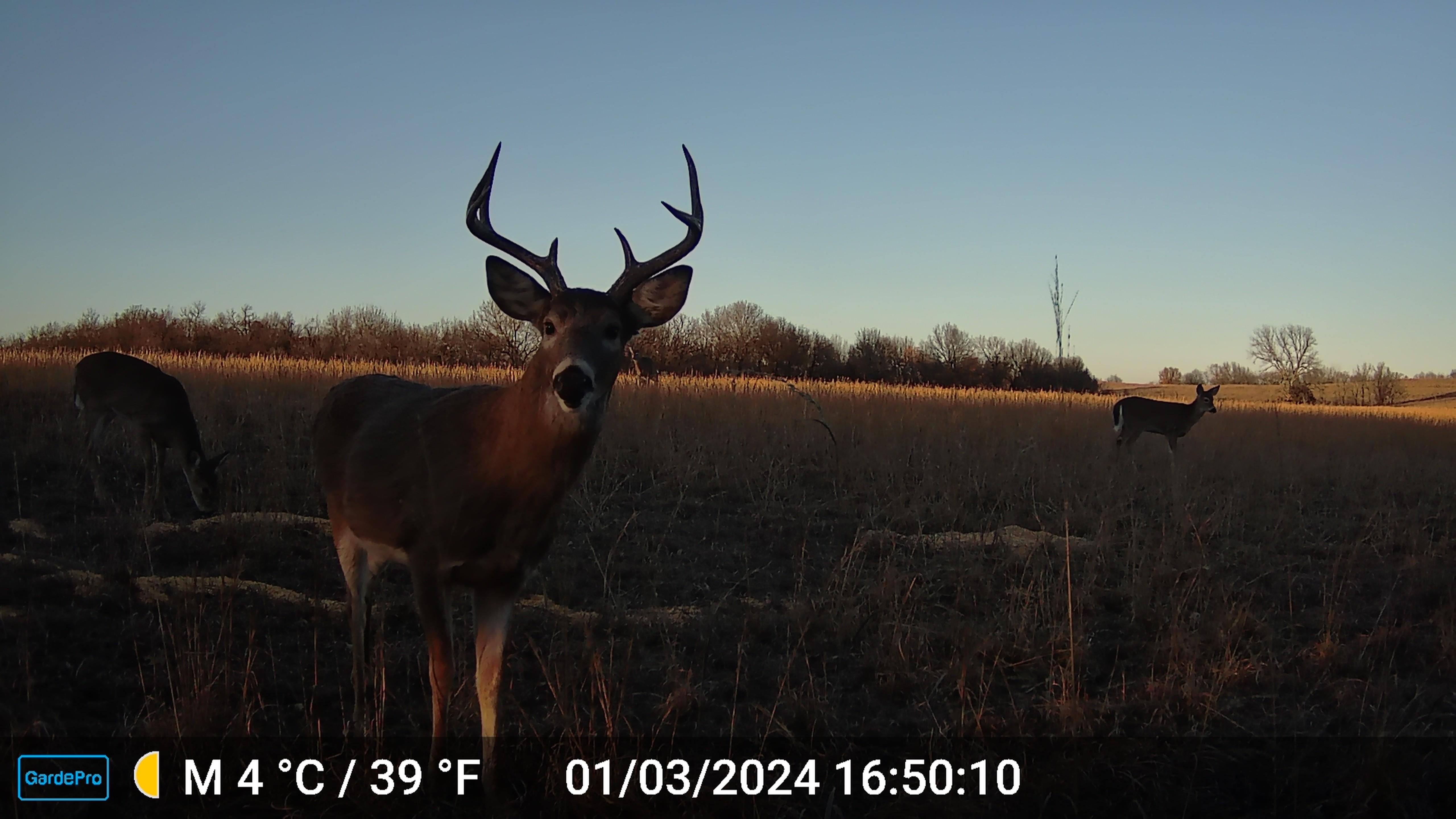LeRoy, Coffey County, KS Farms and Ranches, Recreational Property for ...