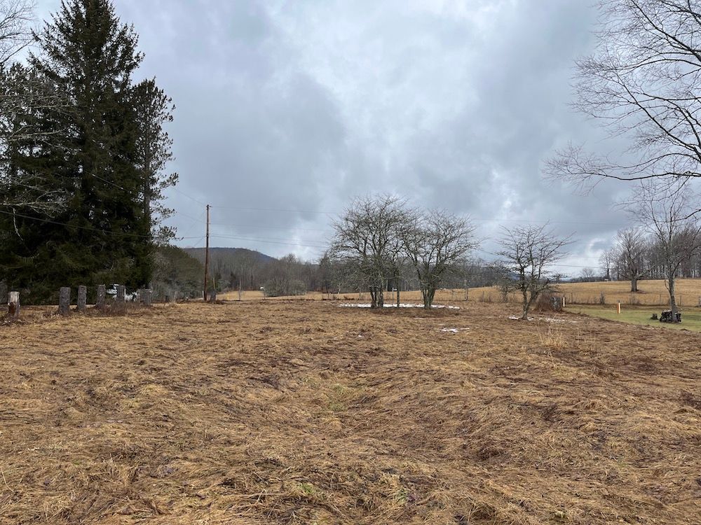 6573 Appalachian HWY-A, Davis, WV 26260 | LandWatch