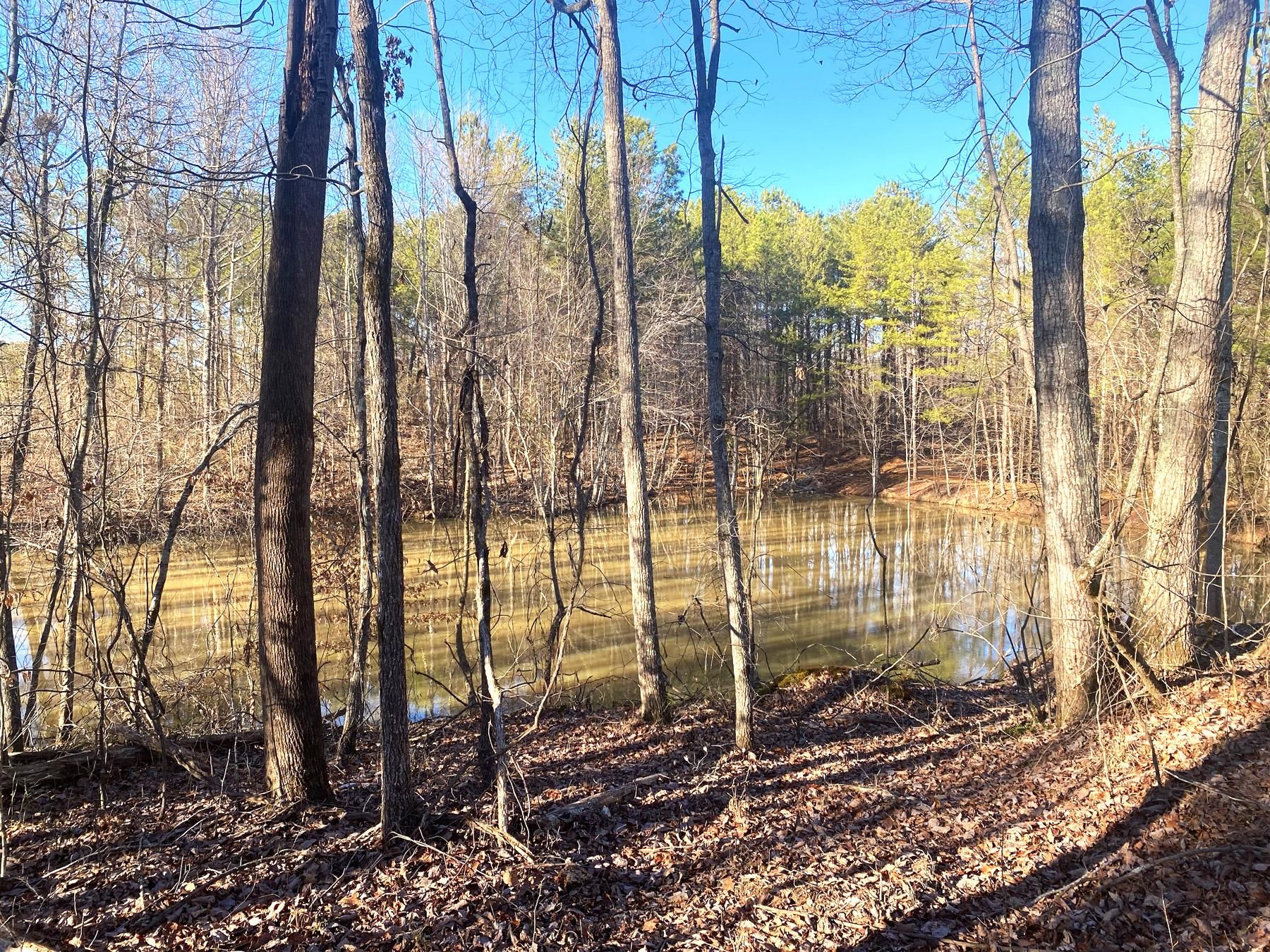 County Road 38, Hanceville, AL 35077 | LandWatch