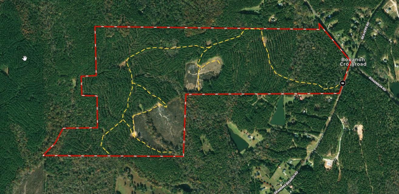 250 acres in Grantville, GA, 30220 | MLS: 10250718 | LandWatch