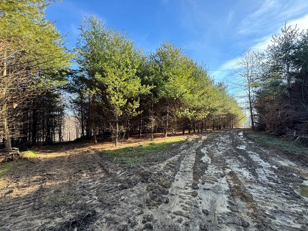 00 Clayton Drive, Wallingford, KY 41093 | MLS: 40980 | LandWatch