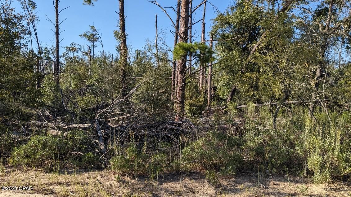 Youngstown, Bay County, FL for sale Property ID: 417728719 | LandWatch