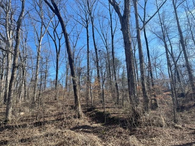 Highway 100, Bolivar, TN 38008 | MLS: 10165511 | LandWatch