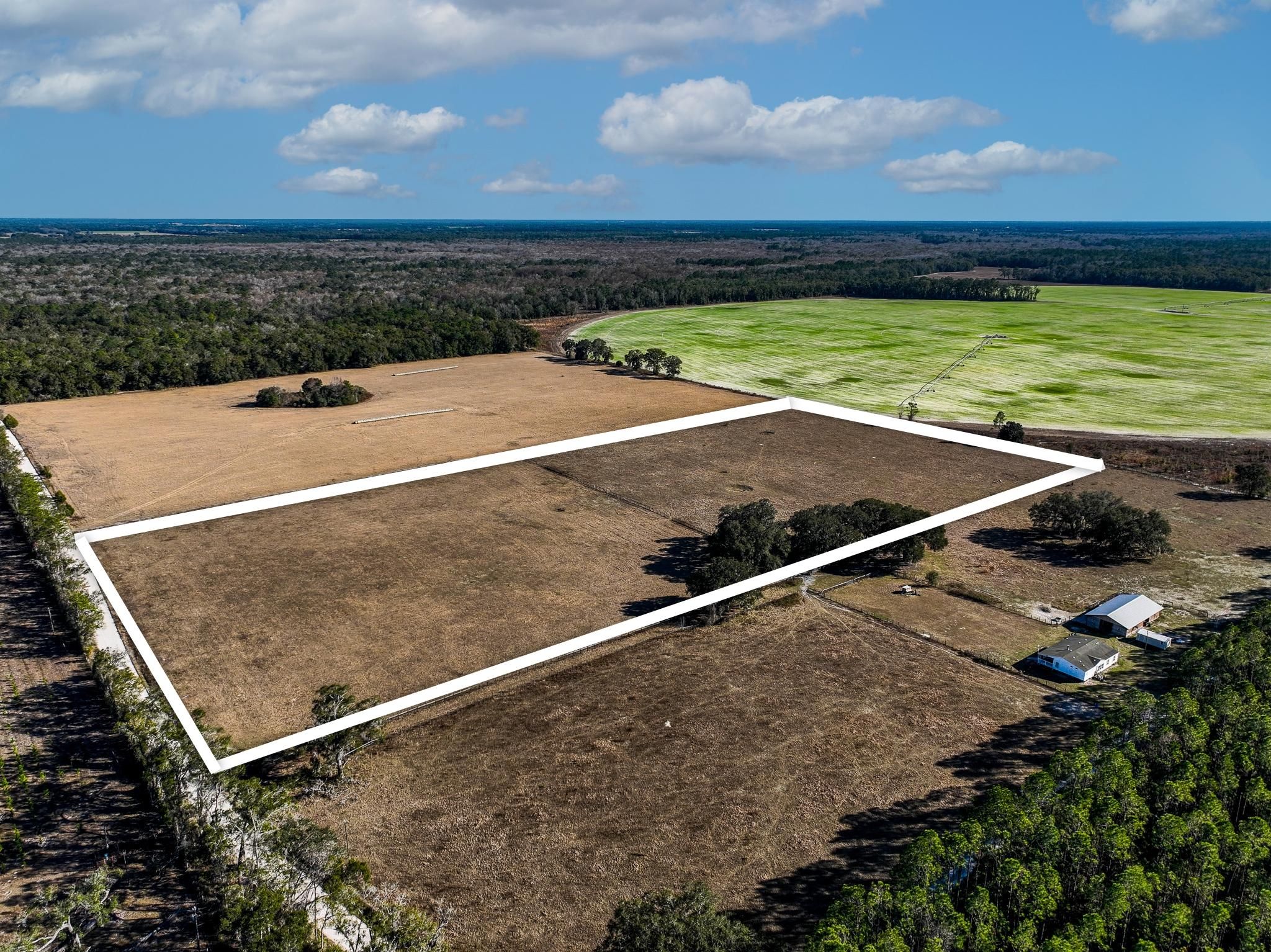 NE 709th Aveneue, Old Town, FL 32680 | MLS: 368318 | LandWatch