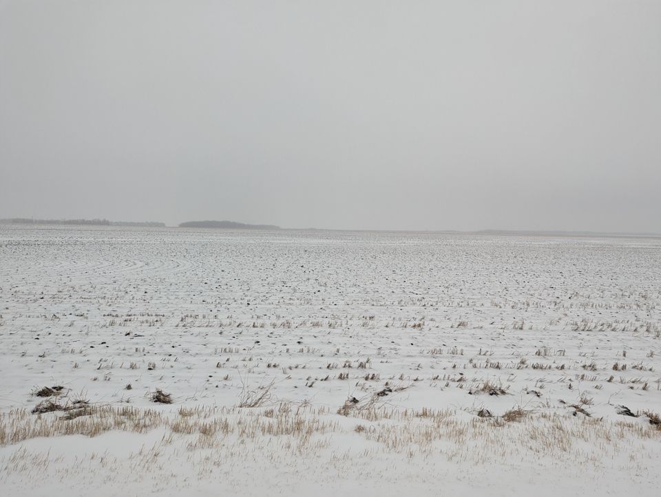 463.68 acres in Walhalla, ND, 58282 | LandWatch