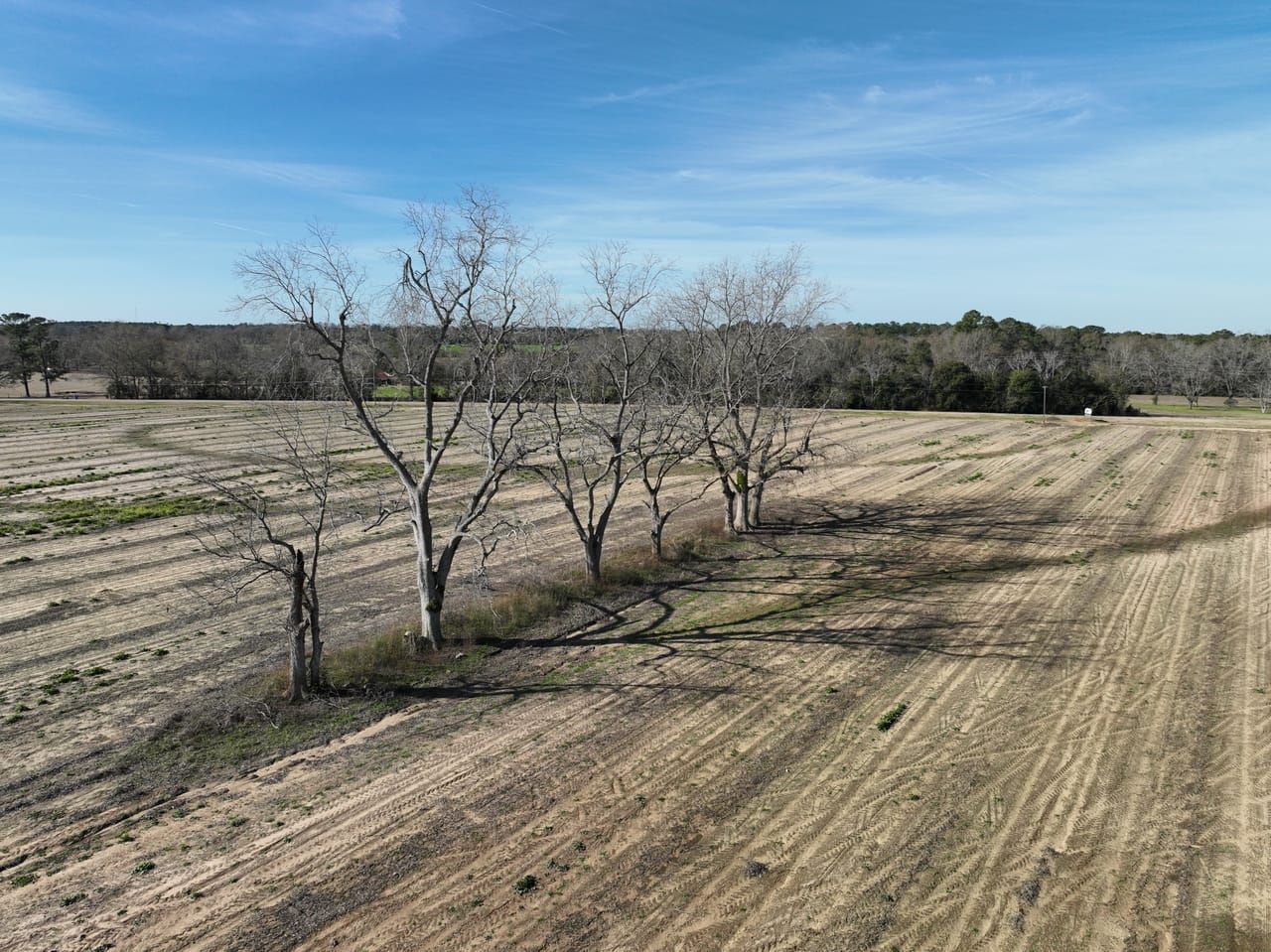 Dothan, Houston County, AL Farms and Ranches, Undeveloped Land for sale ...