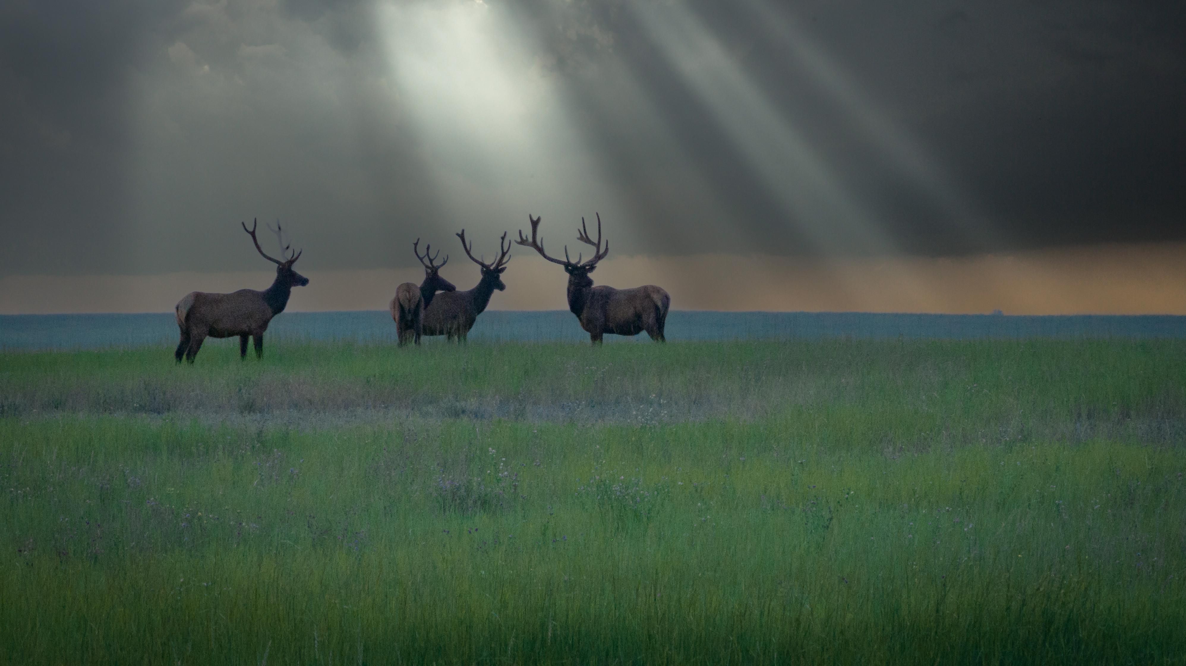 2,402.72 acres in Roundup, MT, 59072 | LandWatch