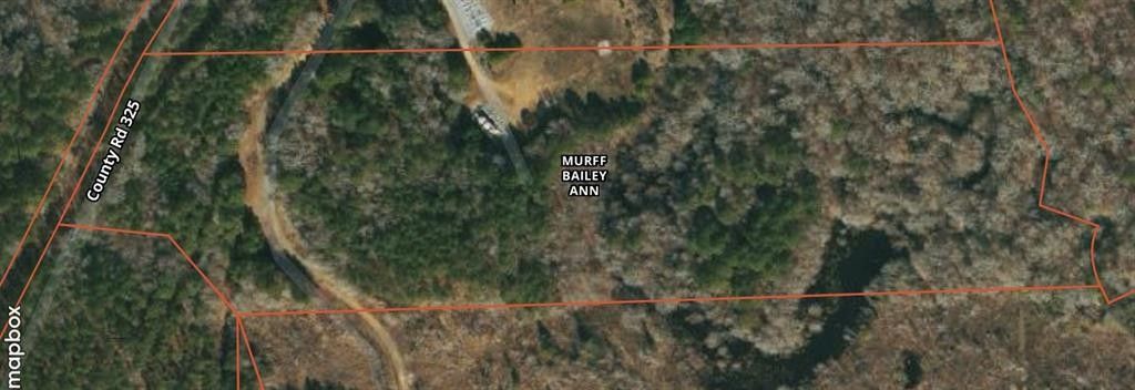 De Berry, Panola County, TX Undeveloped Land for sale Property ID ...