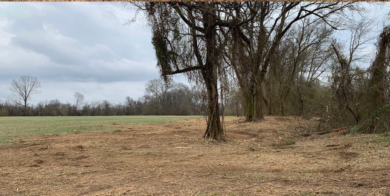 3 acres in Friendship, AR, 72104 | LandWatch