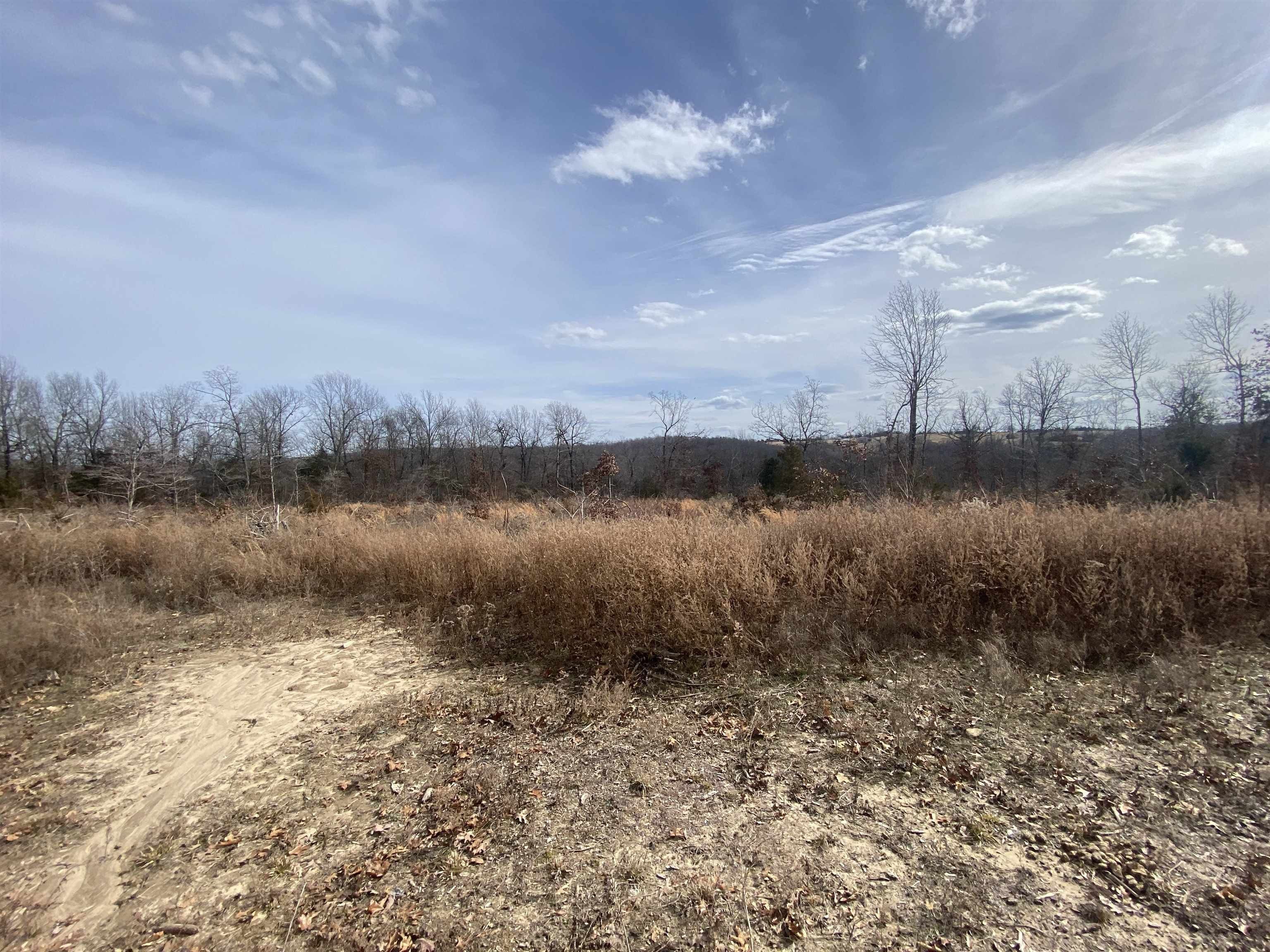 TBD Zone Ridge Road, Flippin, AR 72634 | MLS: 24004541 | LandWatch