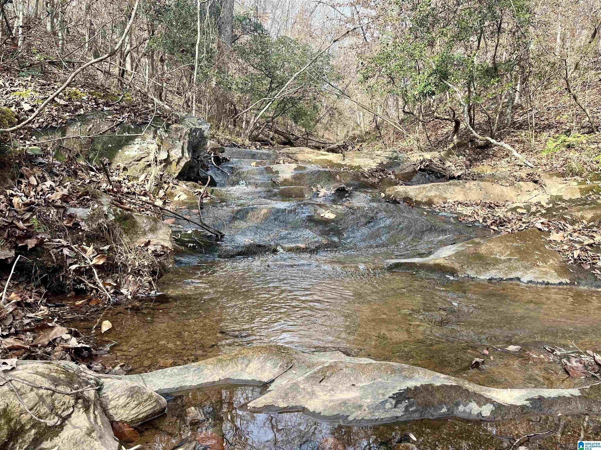 0 County Road 865, Roanoke, AL 36274 | LandWatch