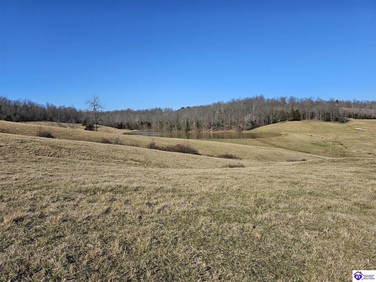 Clarkson, Grayson County, KY Undeveloped Land for sale Property ID ...