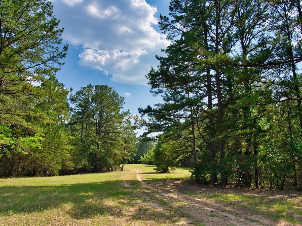 Atoka, Atoka County, OK Recreational Property, Hunting Property for ...