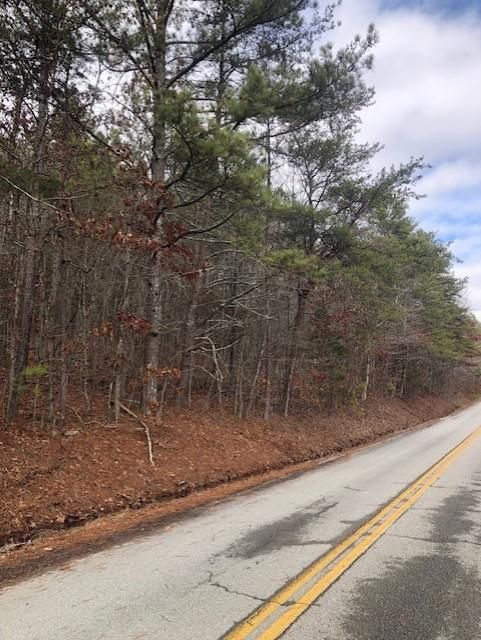 16375 Lakewood Drive, Sale Creek, TN 37373 | LandWatch