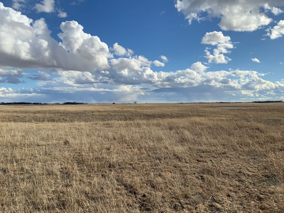 Atkinson, Holt County, NE Farms and Ranches, Recreational Property for ...