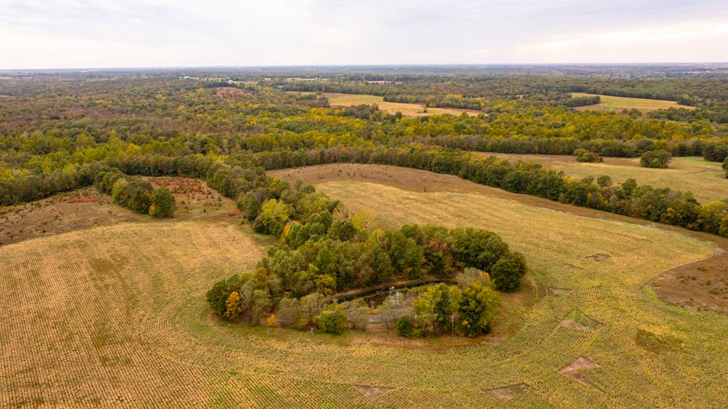 00000 E Veteran Road, Milo, MO 64767 | MLS: Vernon 374 | LandWatch