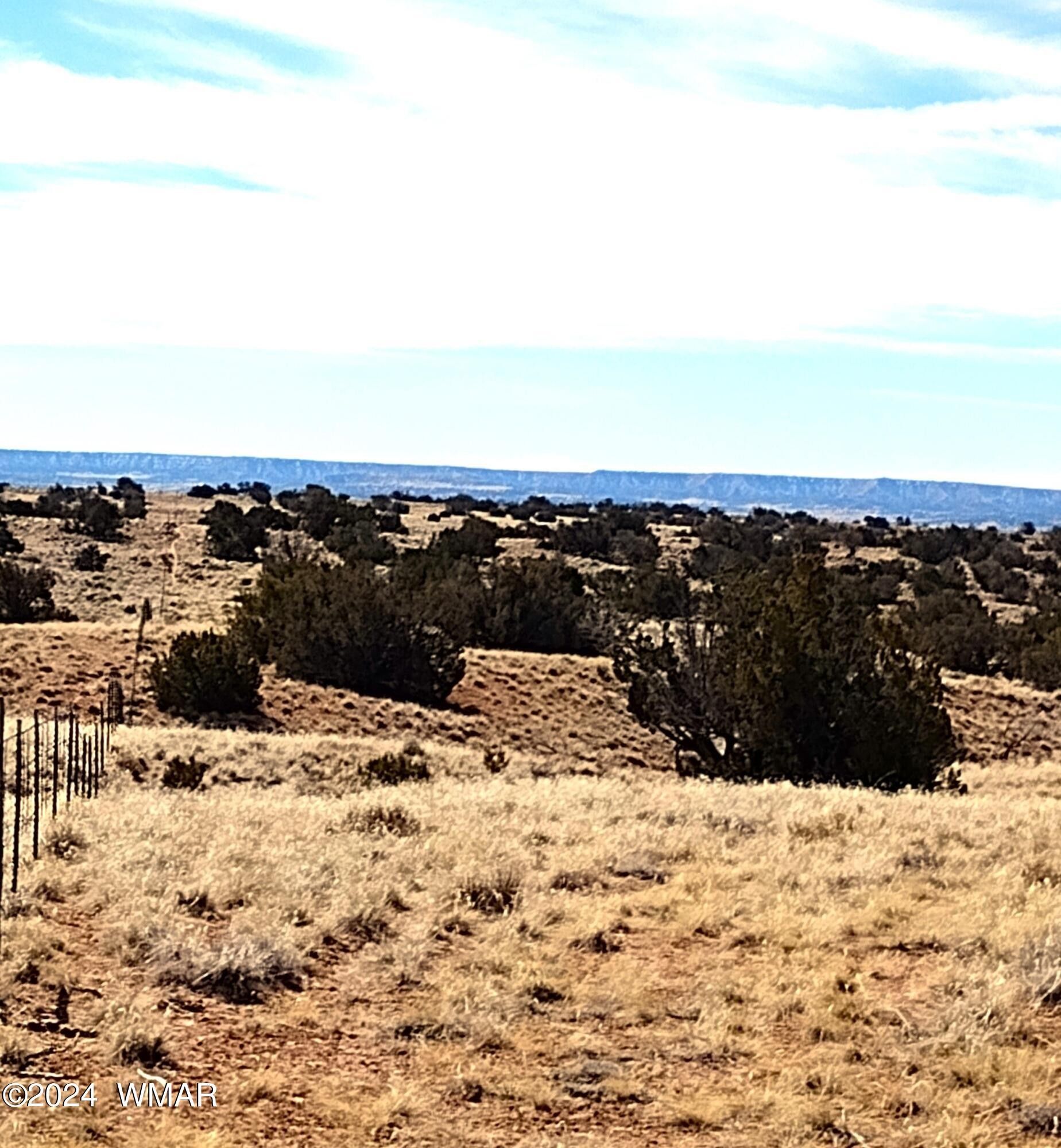 85 N7355, Sanders, AZ 86512 | MLS: 249509 | LandWatch