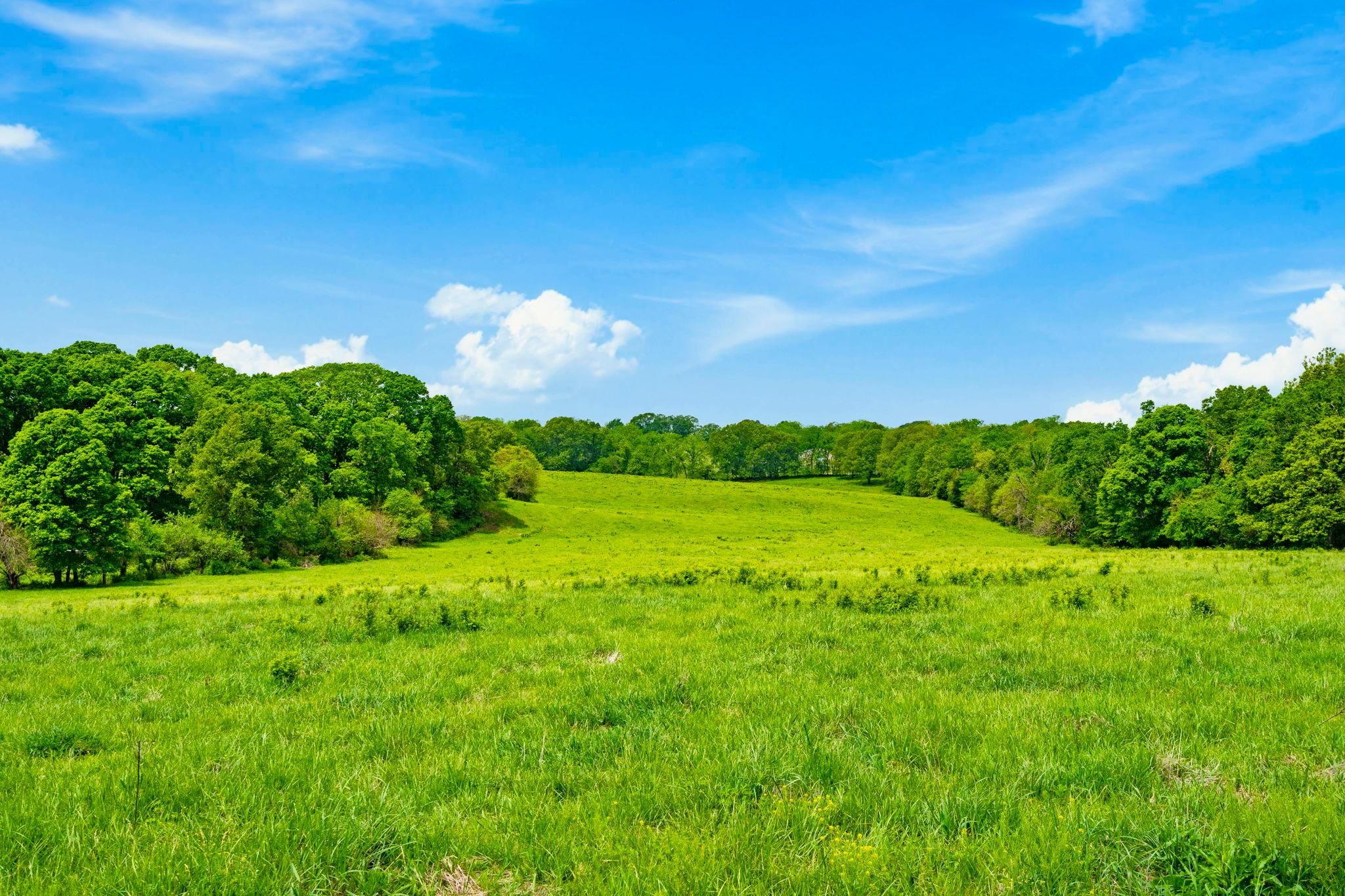 Hawthorne Lane, Highlandville, MO 65669 | MLS: GSBOR-60255776 | LandWatch